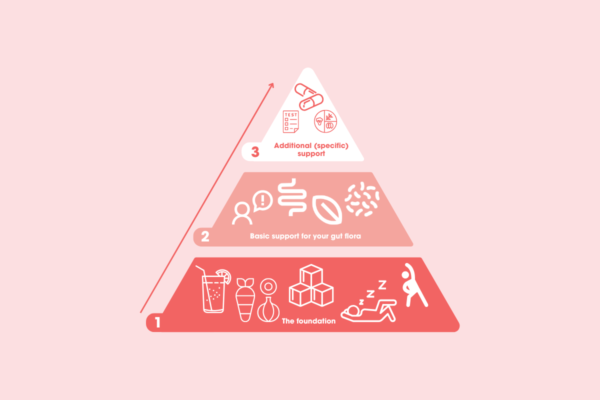 The Digestive Support Pyramid: Your Guide to a Healthy Gut - Intoleran ...