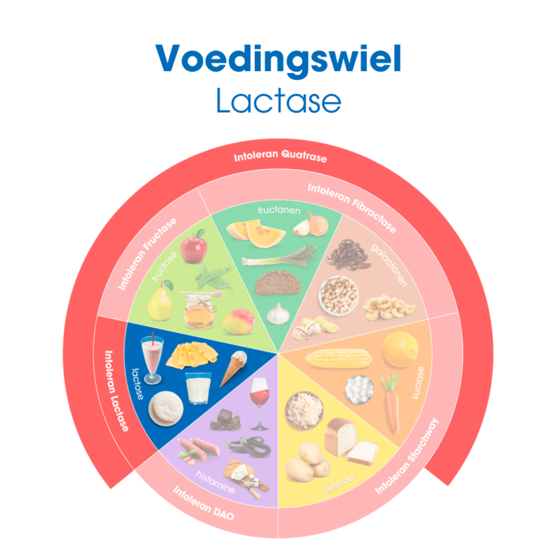Lactase 3000 - 50 capsules | Capsules voor lactose-intolerantie | Intoleran