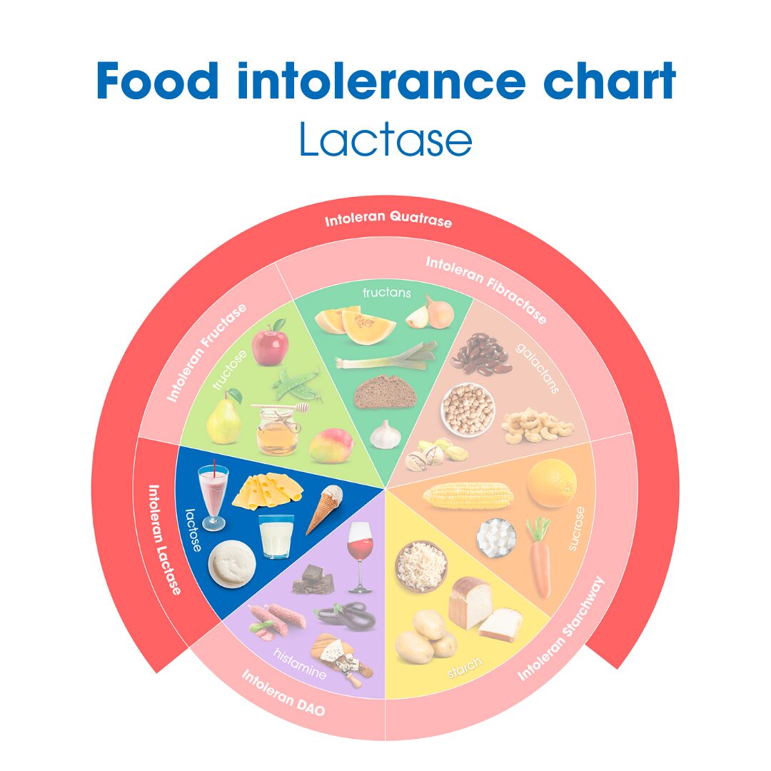 Lactase drops | Make dairy products lactose-free! | Intoleran
