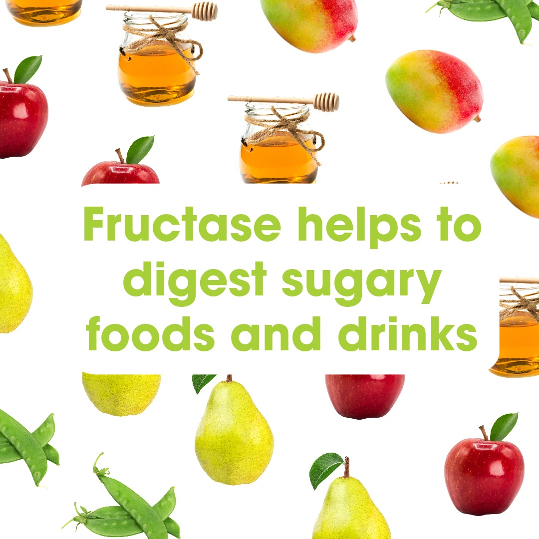 Fructase | Contains the Xylose Isomerase enzyme | Intoleran