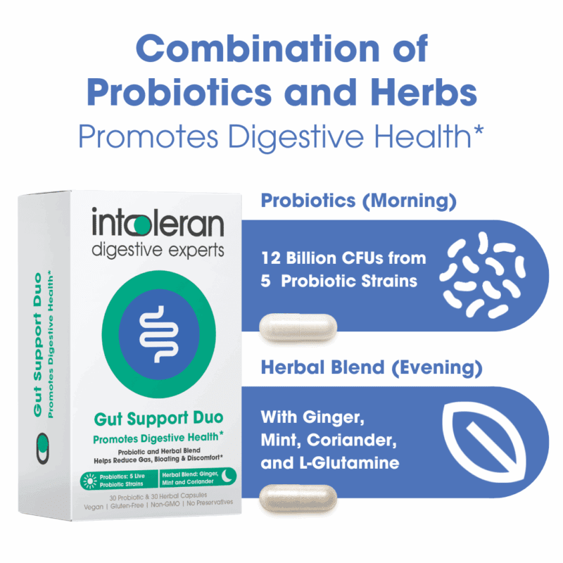 Gut Support Duo - Intoleran US