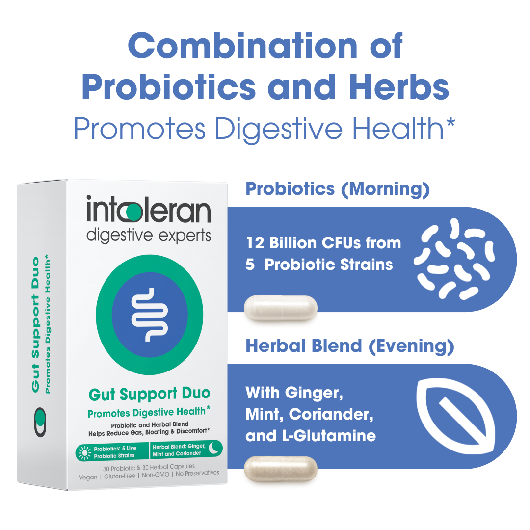Gut Support Duo - Intoleran US