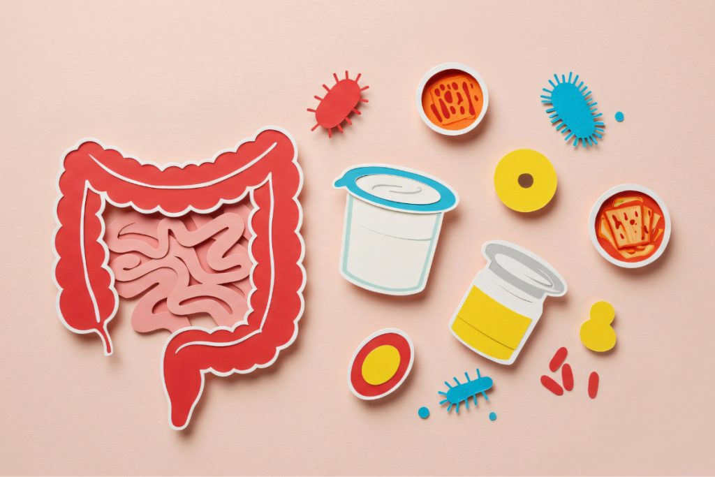 Which enzymes help digest FODMAPs? - Intoleran US