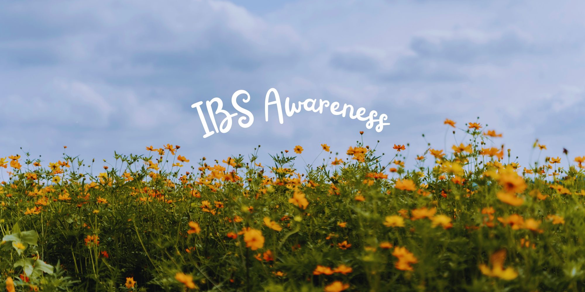 How does histamine work in our body? - Intoleran US